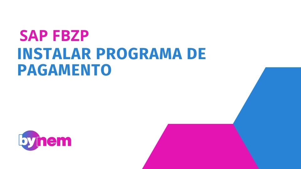 FBZP | SAP FBZP Instalar Programa de Pagamento | Bynem